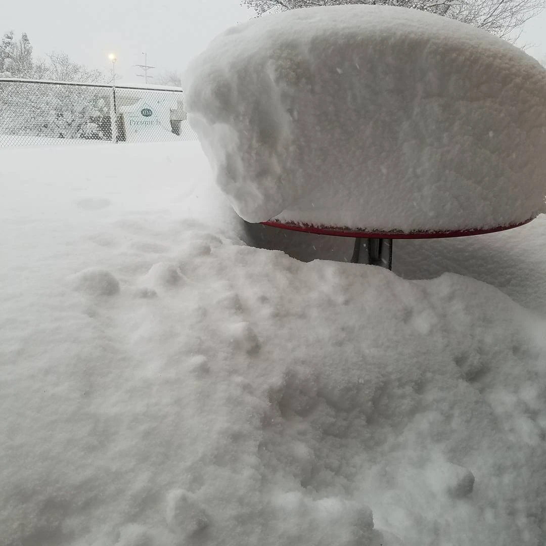 Major Winter Storm Charlie (2019) DK | Delcore's Wiki | Fandom