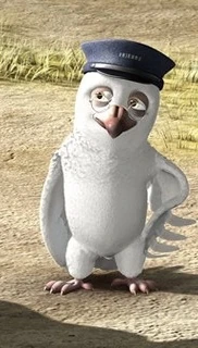 Pigeon | Delhi Safari Wiki | Fandom