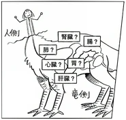 Falin Touden/Gallery | Delicious in Dungeon Wiki | Fandom