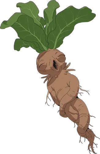 Mandrake | Delicious in Dungeon Wiki | Fandom