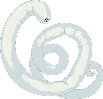 Giant Parasite | Delicious in Dungeon Wiki | Fandom