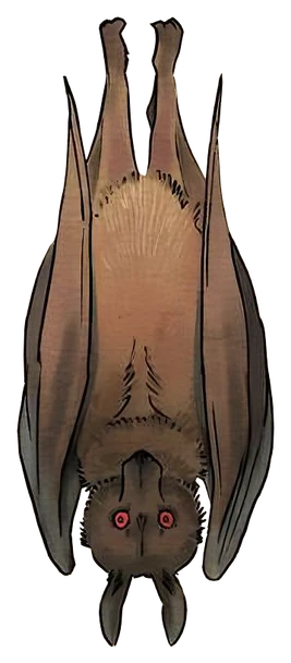 Big Bat | Delicious in Dungeon Wiki | Fandom