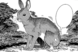 Dungeon Rabbit | Delicious in Dungeon Wiki | Fandom