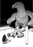 Senshi/Gallery | Delicious in Dungeon Wiki | Fandom