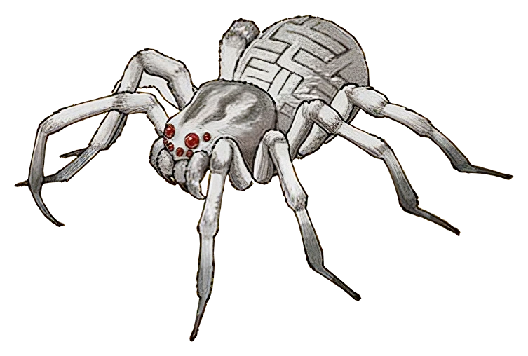 Huge Spider | Delicious in Dungeon Wiki | Fandom