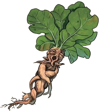 Mandrake