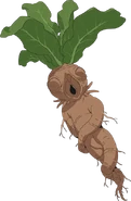 Mandrake | Delicious in Dungeon Wiki | Fandom