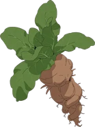 Mandrake | Delicious in Dungeon Wiki | Fandom