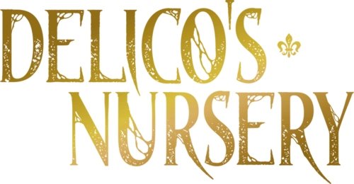 List of Episodes | Delico's Nursery Wiki | Fandom