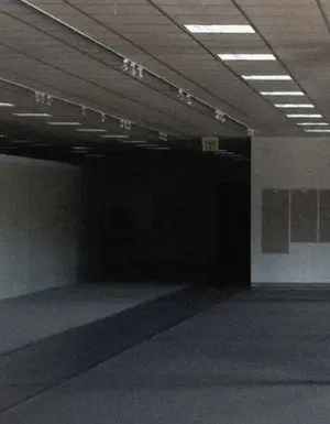 Nivel 4.3 - "Decaído" | Wiki Backrooms: Delta Canon | Fandom