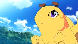 Prin | Deltora Quest Wiki | Fandom