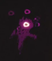 Entities | Delusional Office Wiki | Fandom