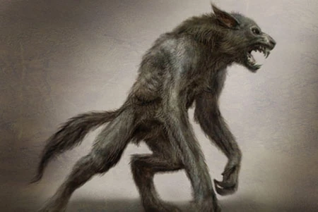 Werewolf | Demigods Haven Wiki | Fandom