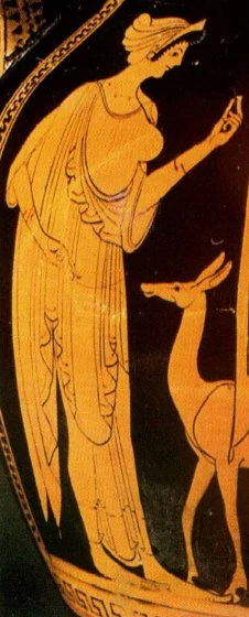 Leto | Demigods Haven Wiki | Fandom