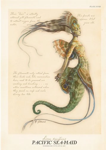 Merfolk | Demigods Haven Wiki | Fandom