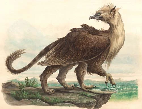How Rare Is A Griffin