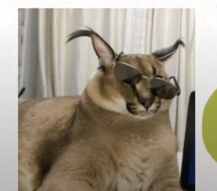 Matrix Demo | Demo Verse Wiki | Fandom