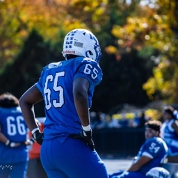 Firemaztar Democratic Sim Wiki Fandom