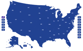2024 Democratic Party Presidential Primaries | Democratic Wiki | Fandom