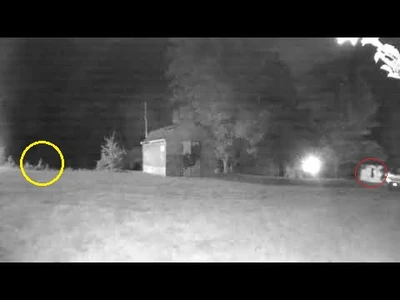 SCP-6058 | Demon Family Wiki | Fandom