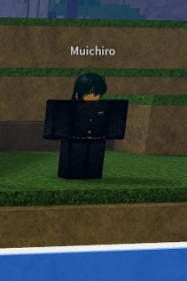 Muichiro | Demon Slayer: Burning Ashes Wiki | Fandom