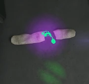 Evidence | Demonology Wiki | Fandom