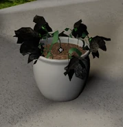 Evidence | Demonology Wiki | Fandom