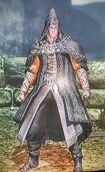 Venerable Sage's Set | Demon's Souls Wiki | Fandom