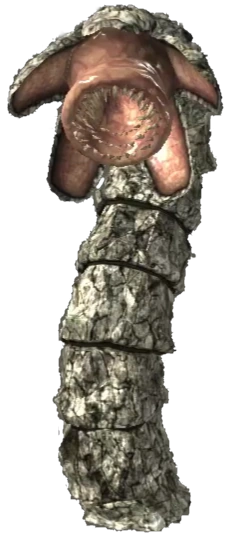 Rock Worm | Demon's Souls Wiki | Fandom