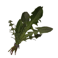 Crescent Moon Grass | Demon's Souls Wiki | Fandom