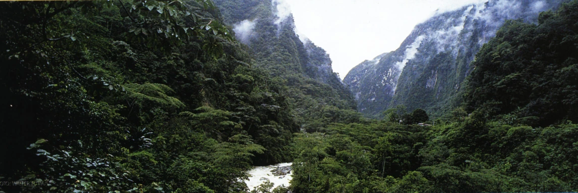 Anchancho | Demonology | Fandom