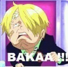 Bakaa | Den Saskeh Wiki | Fandom