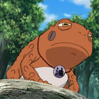 Gamamaru | Narutopedia | Fandom