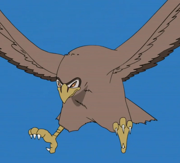 Garuda | Narutopedia | Fandom