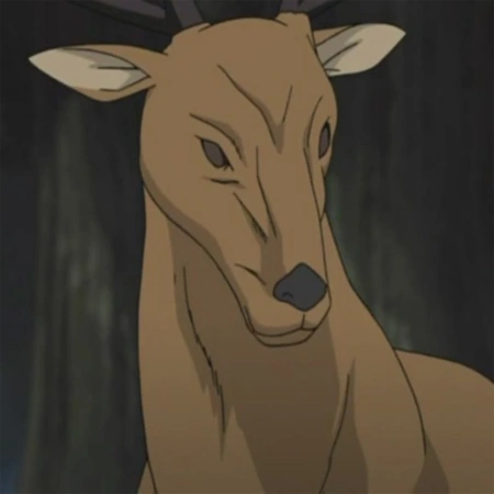 Rikumaru | Narutopedia | Fandom