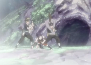 Team Anko | Narutopedia | Fandom