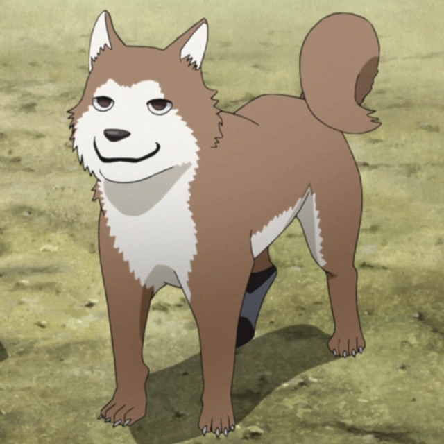 Chamaru | Narutopedia | Fandom