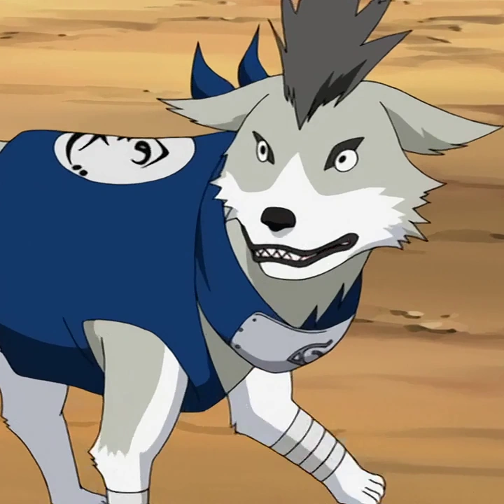 Shiba | Narutopedia | Fandom