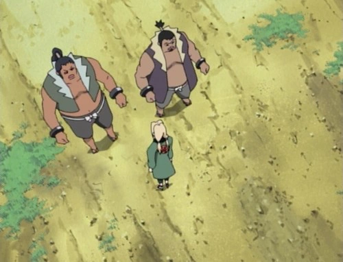 Genjutsu Shibari | Narutopedia | Fandom