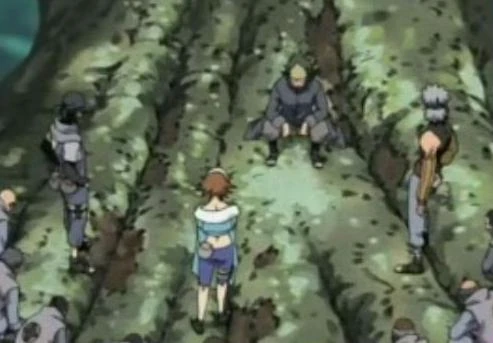 Team Suien | Narutopedia | Fandom