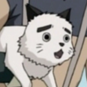 Pochi | Narutopedia | Fandom