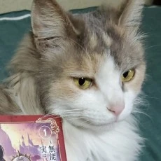 Ryousuke Hata | Dengeki Wiki | Fandom