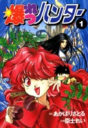 Sorcerer Hunter | Dengeki Wiki | Fandom