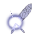 Navi | Nintendo Wiki | Fandom