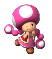 Toadette | Nintendo Wiki | Fandom