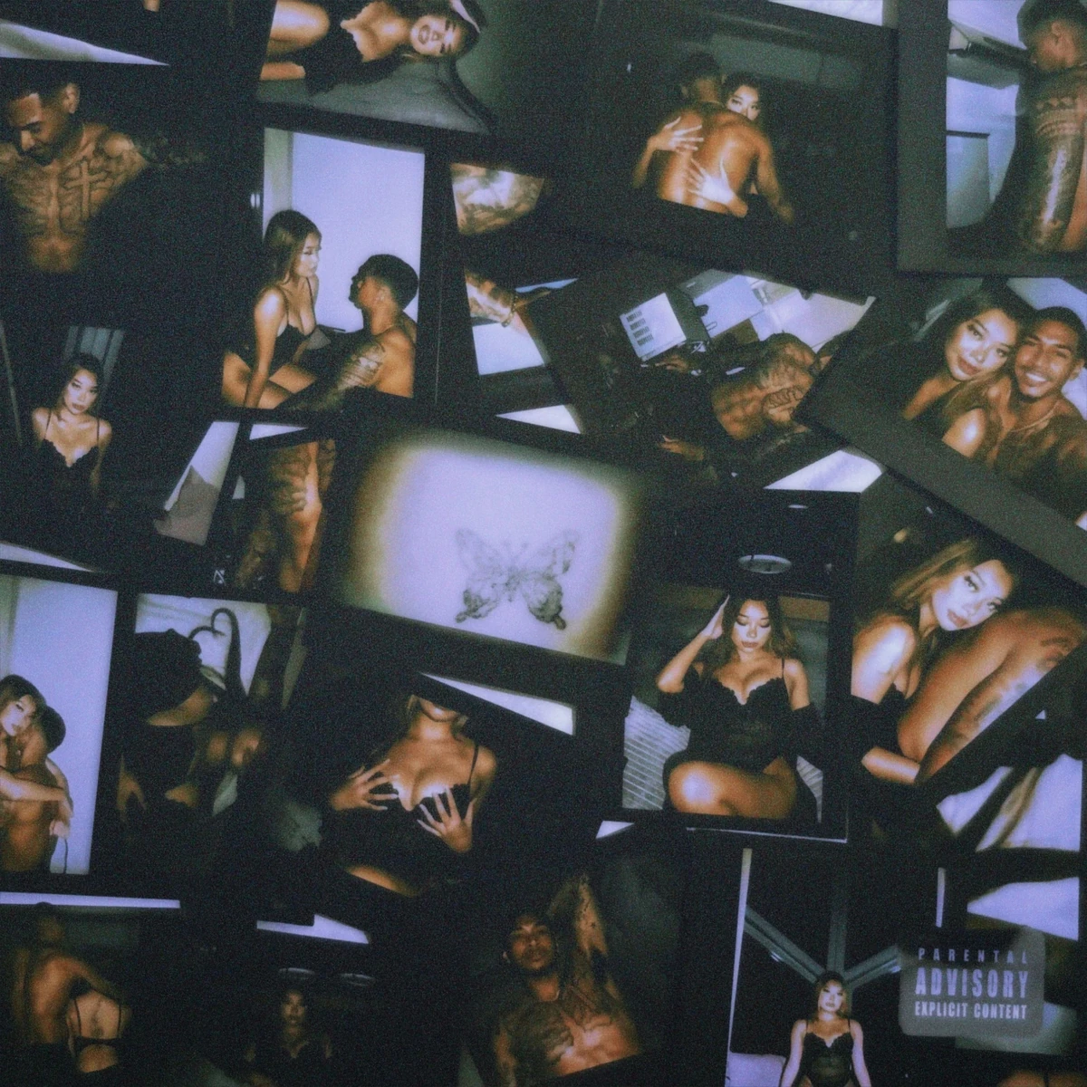 Butterflies | Denise Julia Wiki | Fandom