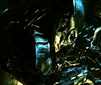 Bonegrill Predator | Wiki Depredador AVP | Fandom