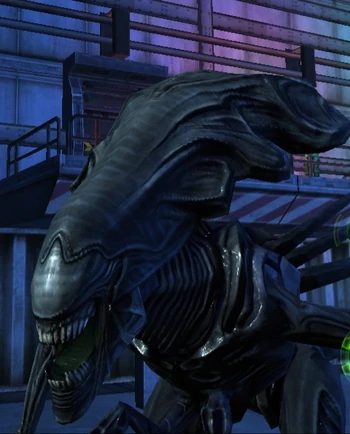 Reina Alien (LV-412) | Wiki Depredador AVP | Fandom