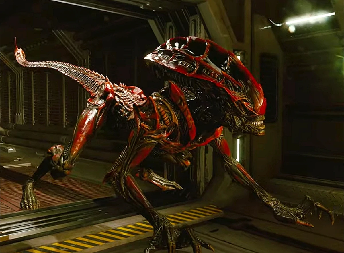 Prowler | Wiki Depredador AVP | Fandom