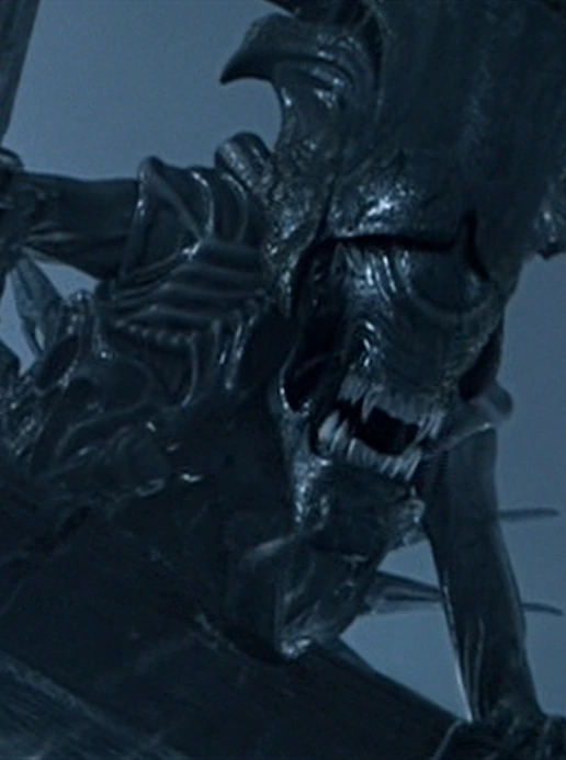 Reina (Casta) | Wiki Depredador AVP | Fandom
